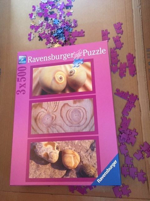 Ravensburger Puzzle 3 x 500 Teile, Muscheln (Gebraucht) in Eschenbach SG für CHF 9 – mit ...