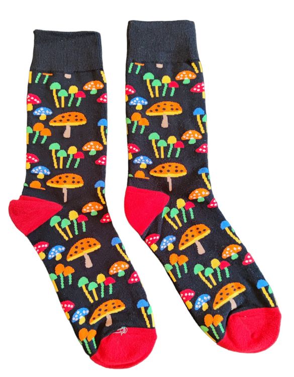 Socken Pilze / Mushrooms / Fliegenpilze (Neu und originalverpackt) in Zürich für CHF 4.9 – mit ...