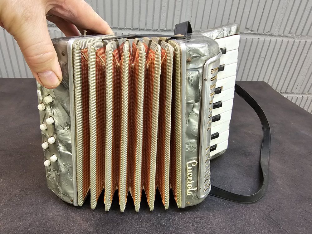 1950 Akkordeon Cucciolo Italy Kids Handorgel Musikinstrument (Gebraucht ...