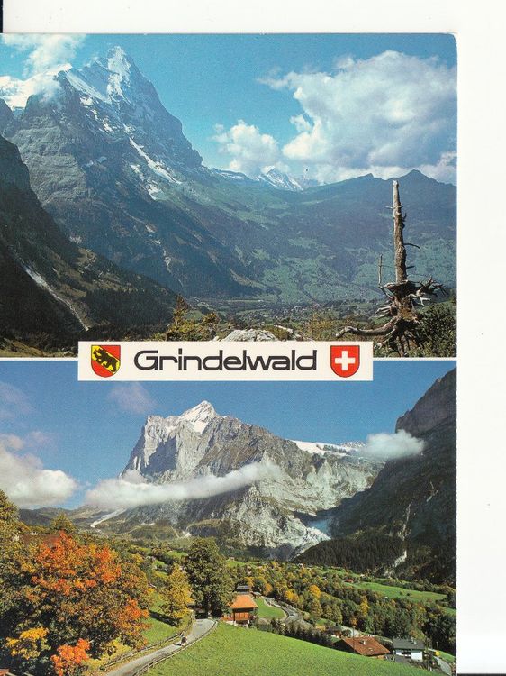 Grindelwald 1989 | Kaufen auf Ricardo