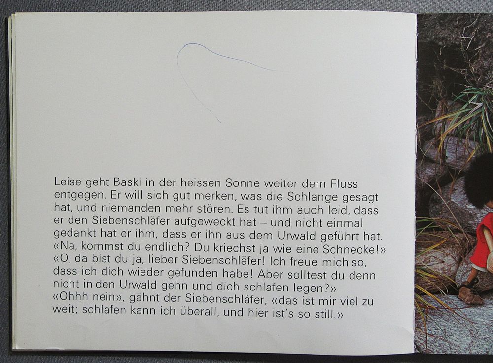 Mit Baski durch den Urwald - Eine Baski Geschichte (Gebraucht) in ...