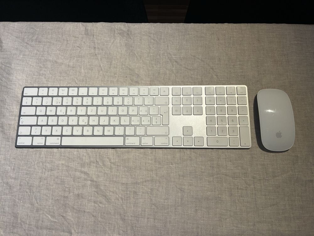 Apple Magic Mouse und Keyboard - Top Zustand! (Gebraucht) in Luzern für ...