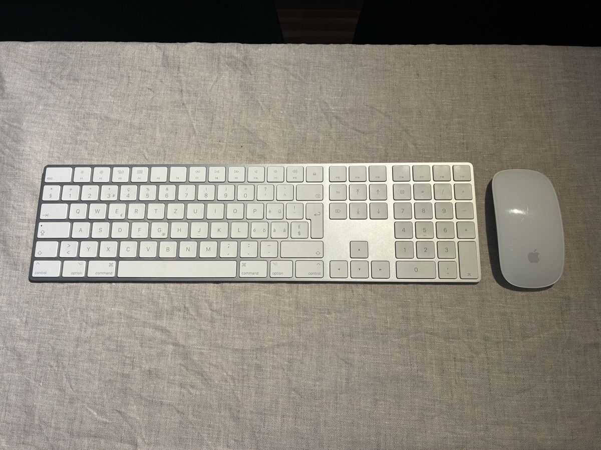 Apple Magic Mouse und Keyboard - Top Zustand! (Gebraucht) in Luzern für ...