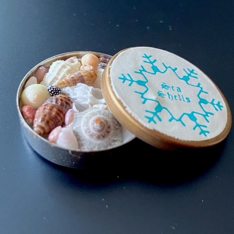 Blechdöschen mit Muscheln f/Puppenstuben. Handarb. NP 11.50. | Kaufen ...
