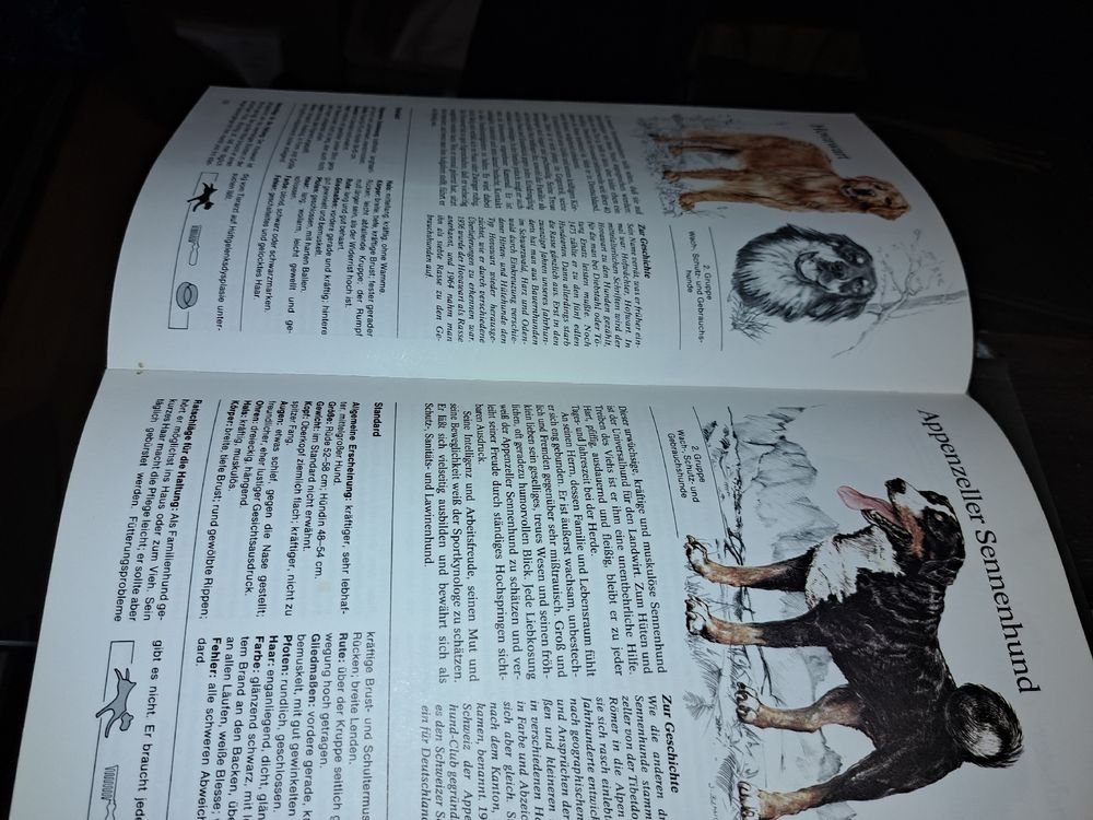 Mein Freund der Hund: Wissen über Hunde, Pflege, Vintage (Gebraucht) in ...