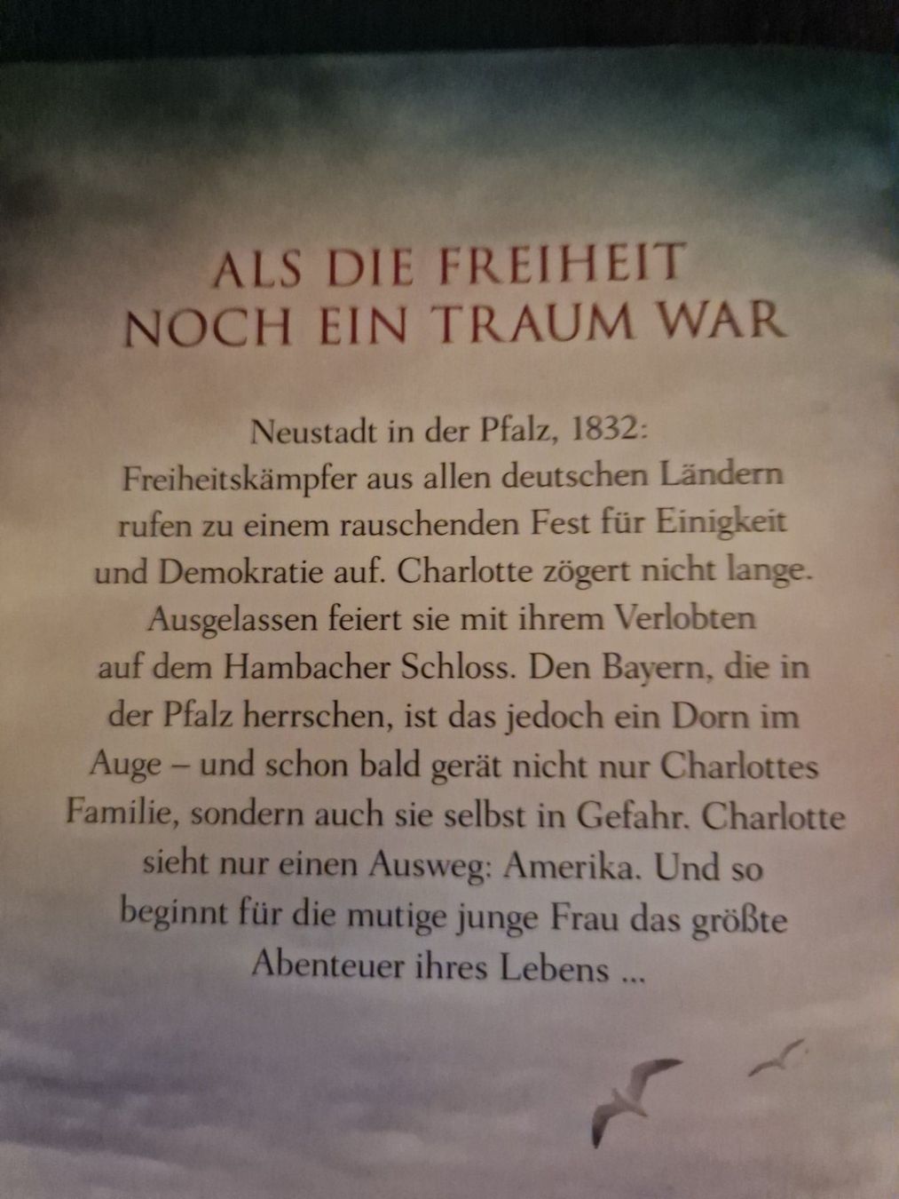 Katrin Tempel Über dem Meer die Freiheit (Gebraucht) in Neuhausen am ...