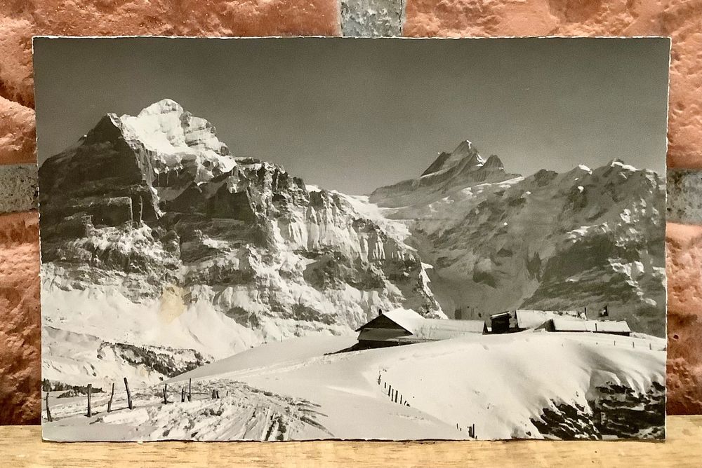 1955 Alte Foto AK Grindelwald - Bergstation Firstbahn (Gebraucht) in Root für CHF 1 – mit ...