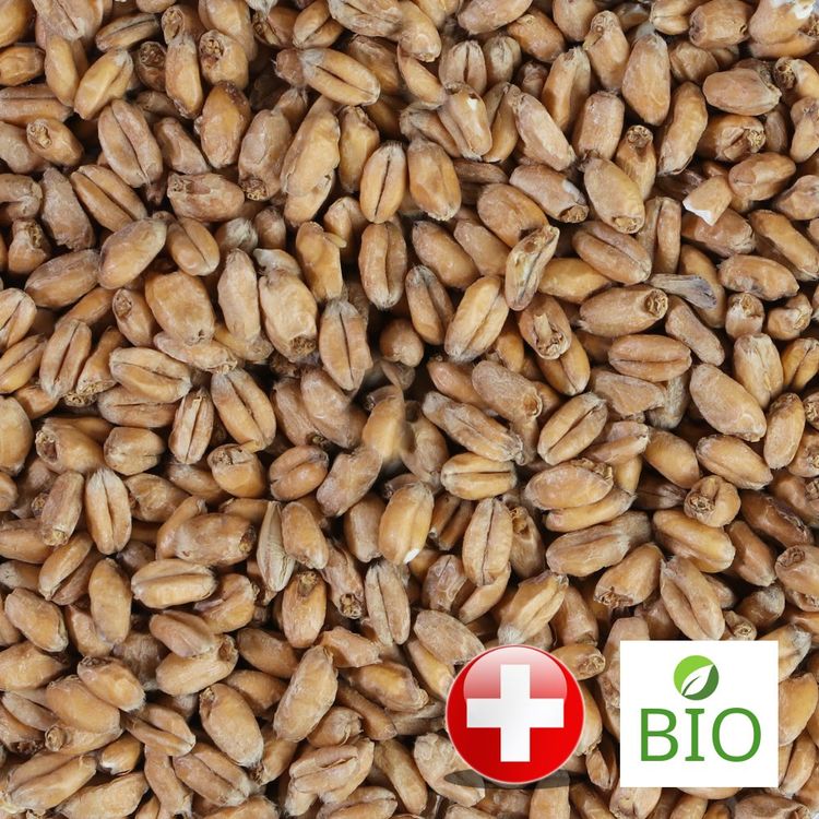 Malt de froment 1,640 kg (D'occasion) à La Place (Ayent) pour CHF 3 ...
