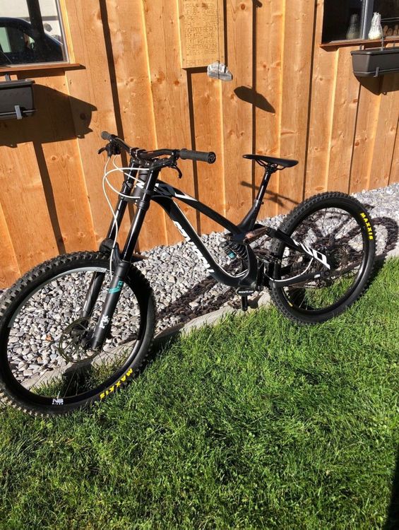 Dowhill NS Fuzz | Kaufen auf Ricardo