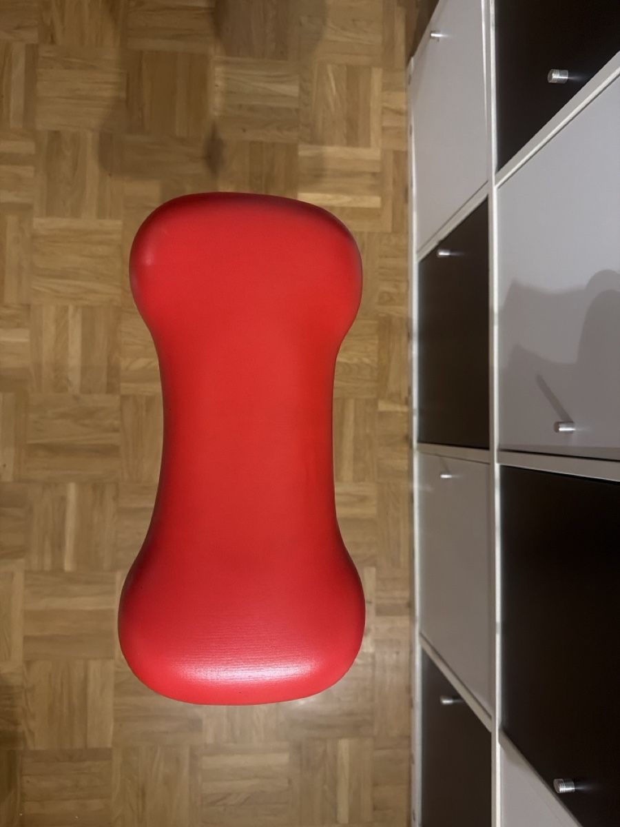 Thunder Squat Exercise Machine (D'occasion) à Brügg BE pour CHF 25 ...