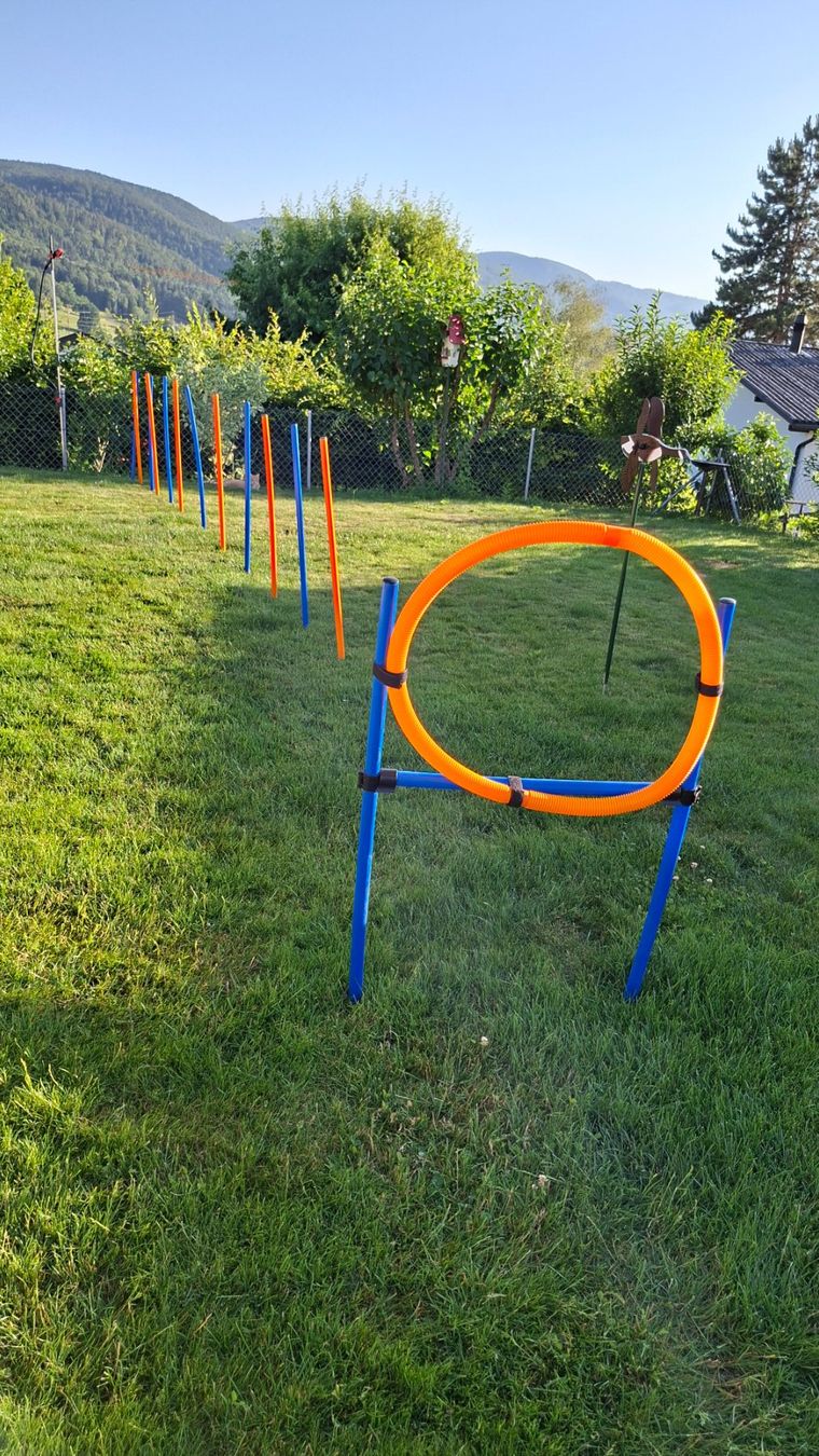 Parcours jeu dressage pour chiens (Neu (gemäss Beschreibung)) in ...