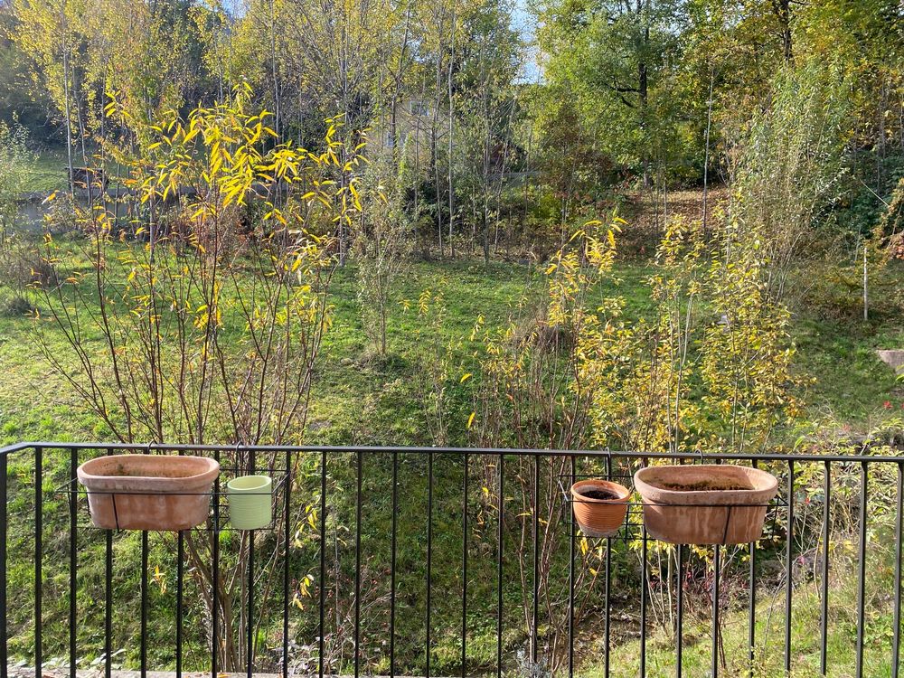 2 hängekörbe + 4 topfpflanzen balkon terrase loft vintage (Gebraucht ...