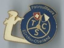 TCS Pin | Kaufen auf Ricardo