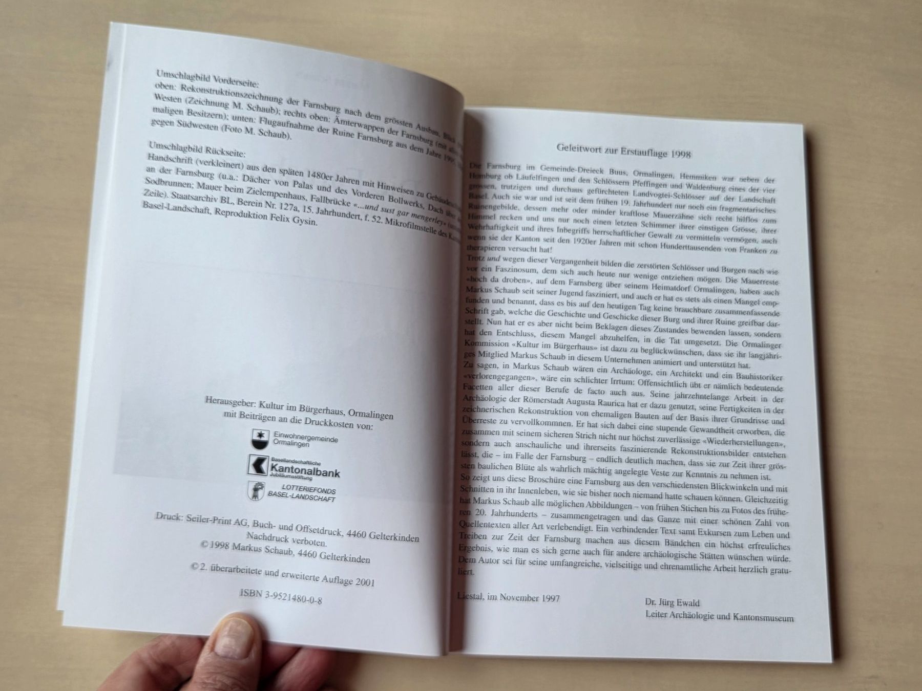 Die Farnsburg, eine Bau- und Lebensgeschichte, Markus Schaub (Gebraucht ...