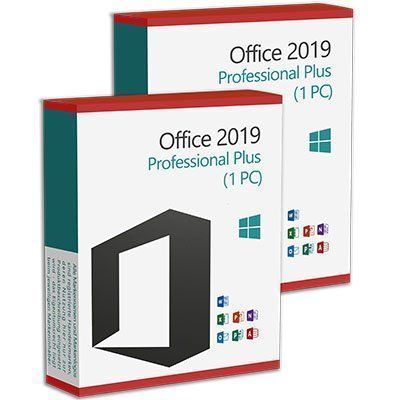Microsoft Office 2019 Professional Plus (2 Product Keys) (Gebraucht) in ...