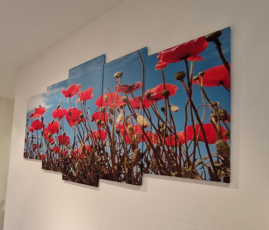 Mohnblumen-Bild | Kaufen auf Ricardo