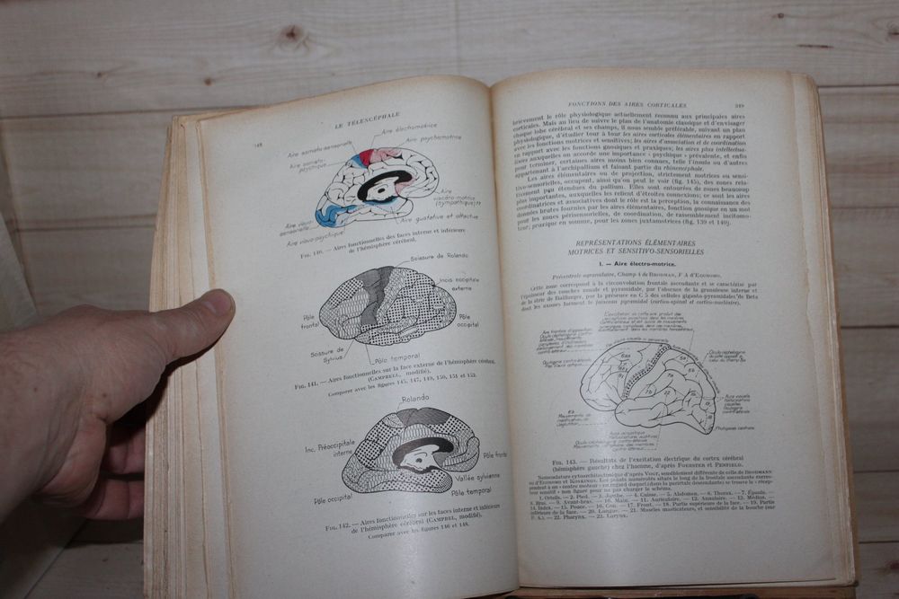 Precis D`Anatomo du Systeme Nerveux Central-Jean Lhermitte (Gebraucht ...