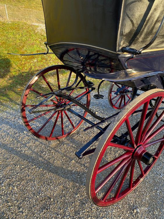 Kutsche Pferde (Gebraucht) in Mogelsberg für CHF 1020 – nur Abholung ...