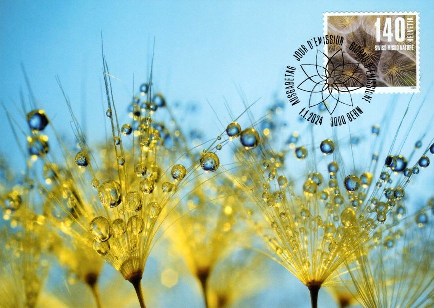 Maximumkarte Naturmuster - Samenstand | Kaufen auf Ricardo