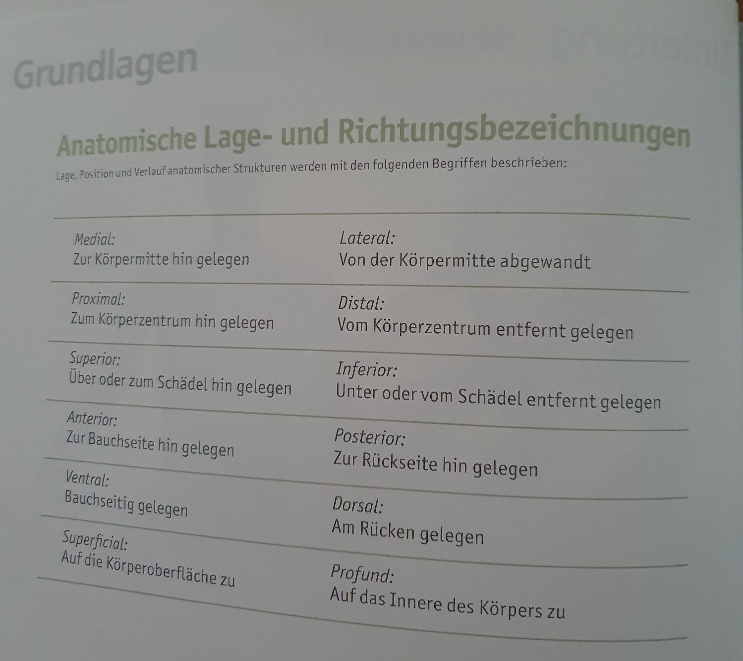 Yoga Anatomie 3D: Ray Long, Band 1, Top Zustand! (Neu (gemäss ...