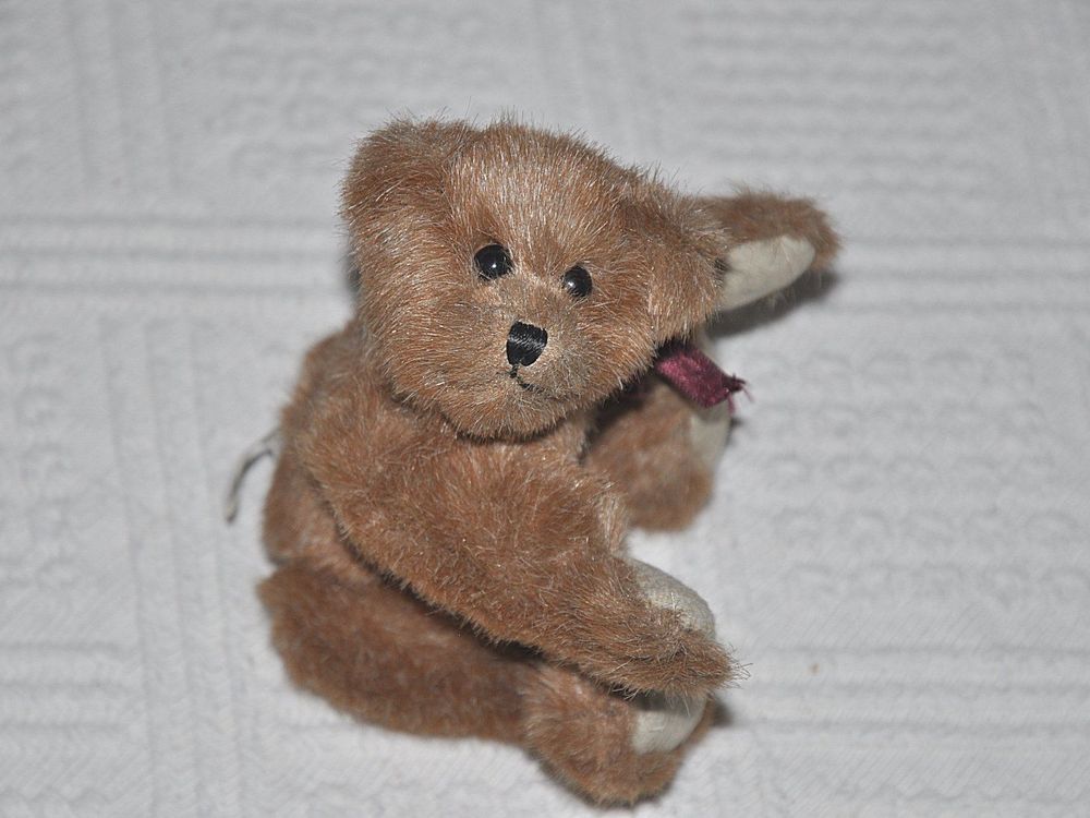 süsser kleiner Teddy 5-fach gegliedert (Gebraucht) in Boll für CHF 1 ...