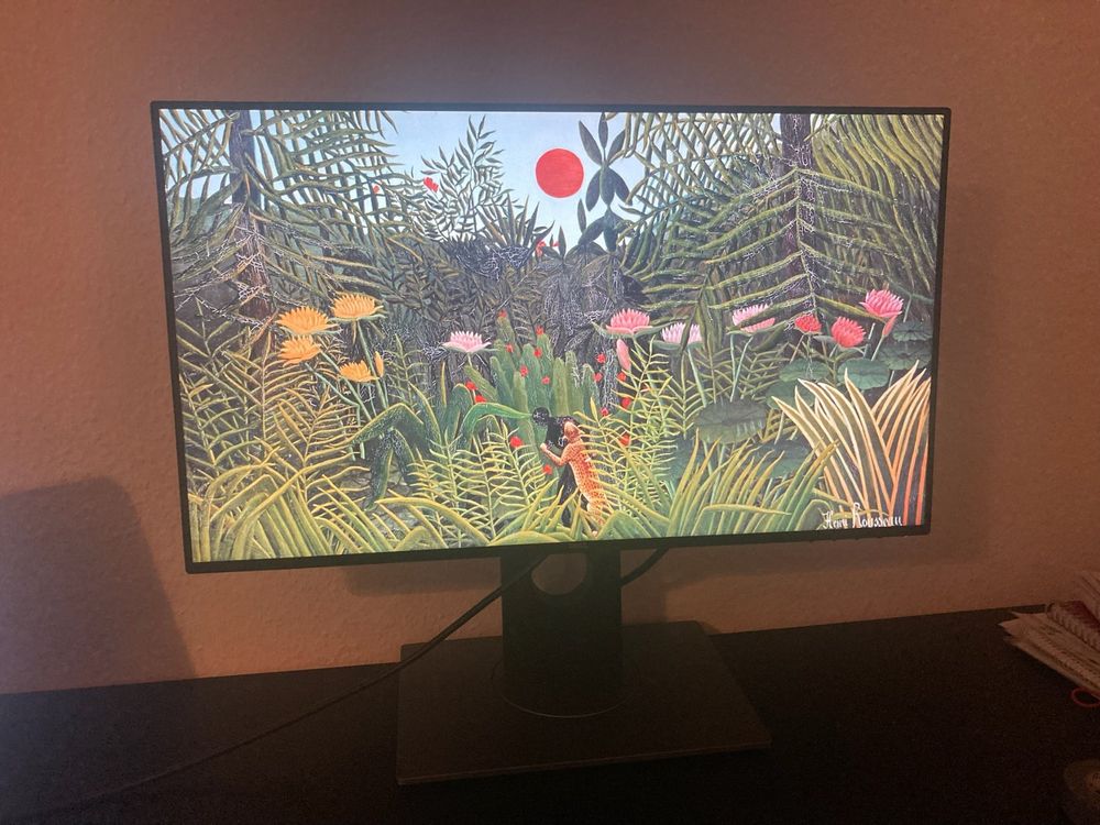 Dell U2417H Monitor + HDMI Kabel (Gebraucht) in Zürich für CHF 45 – nur ...