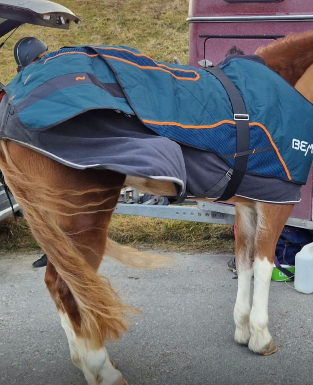 Bemer Horse Decke (D'occasion) à Brig pour CHF 1999 – avec livraison ...