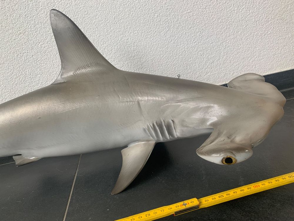 Hammer Hai Fisch Model - Einzelanfertigung (Neu (gemäss Beschreibung ...