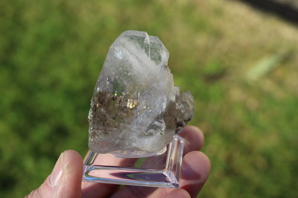 Tessinerhabitus muskovit - habitus tessinois Valle Maggia TI | Kaufen ...