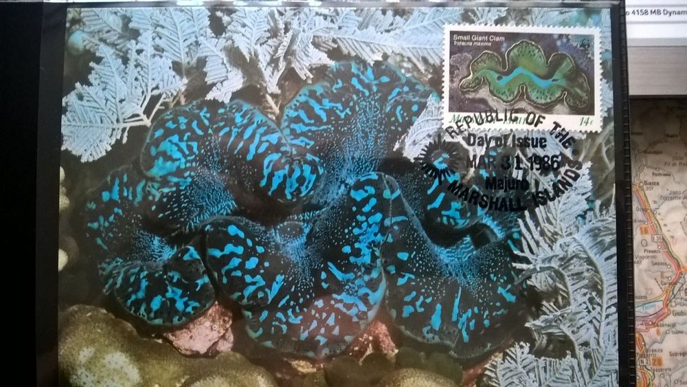 WWF Marschall Inseln 1986 Wirbellose Satz Maximumkarten (Neu (gemäss Beschreibung)) in Liestal ...