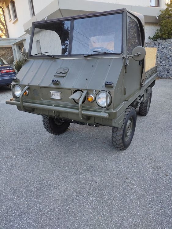 Steyr-Puch Haflinger (Gebraucht) in Gampel für CHF 16800 – mit Lieferung auf Ricardo kaufen