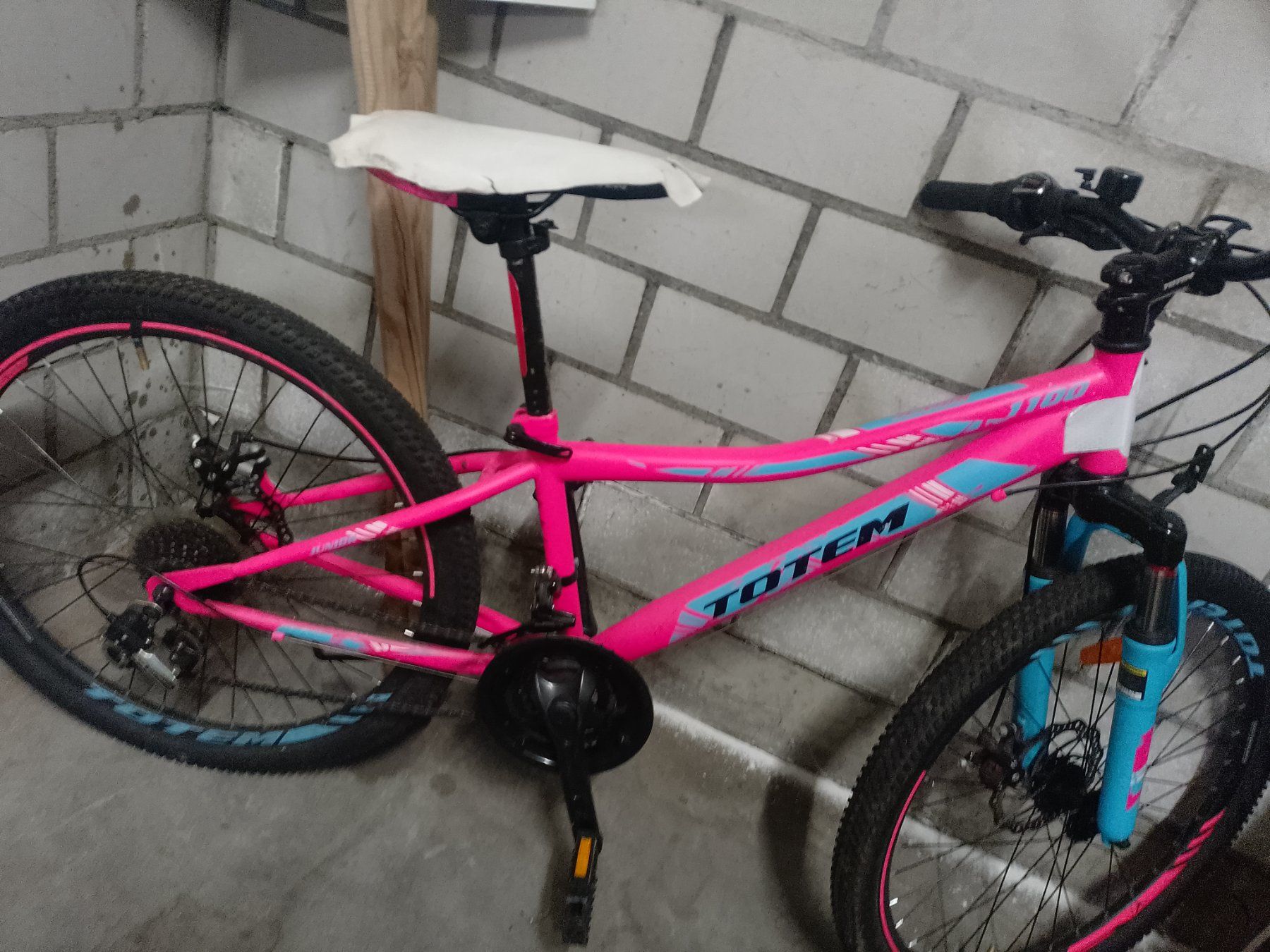 Totem Mountainbike, pink-türkis, Top Zustand, 24 Zoll (Gebraucht) in ...