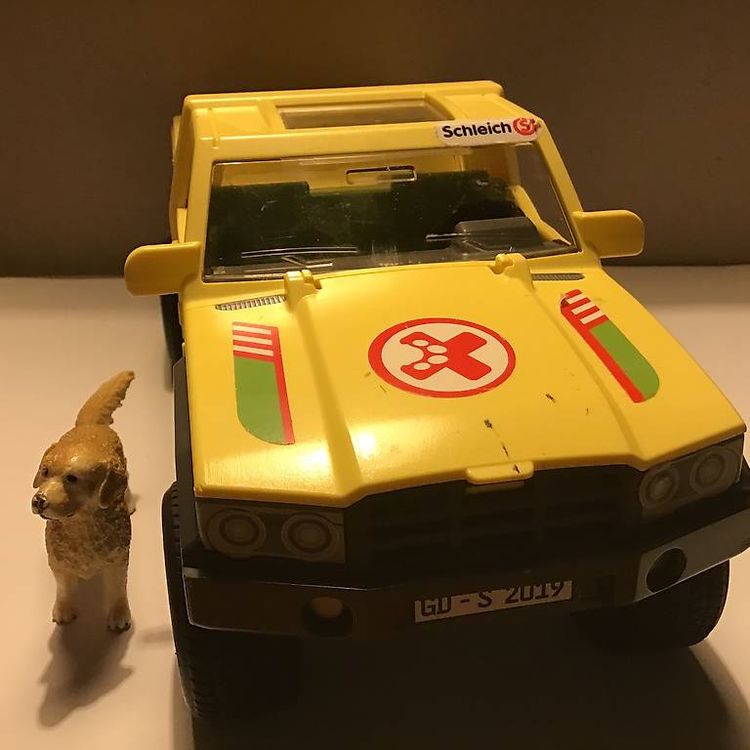 Schleich Auto mit Mädchen und Hund (Gebraucht) in Herznach für CHF 20 ...