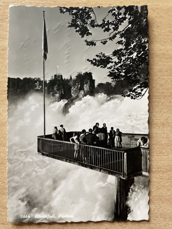 Alte Ansichtskarte Rheinfall 5666 Fischez, 1952 gelaufen | Kaufen auf ...