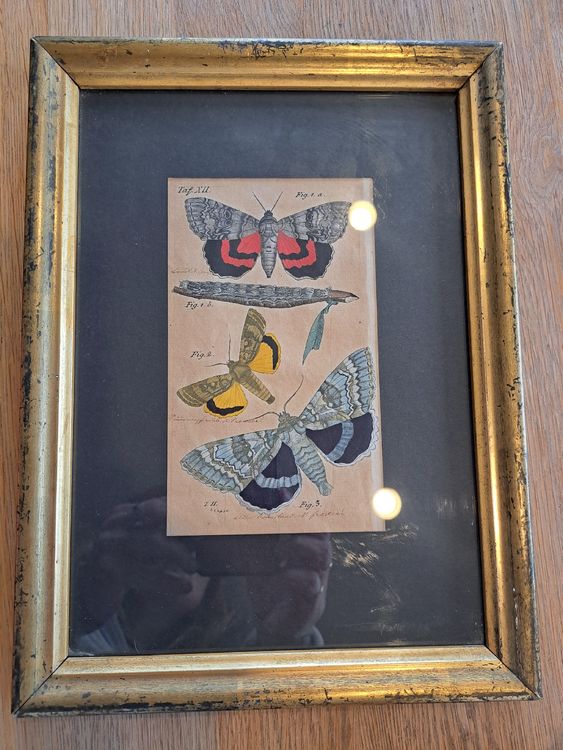 Orginal Handkoloriertr Kupferstich (Gebraucht) in Rehetobel für CHF 150 – nur Abholung auf ...