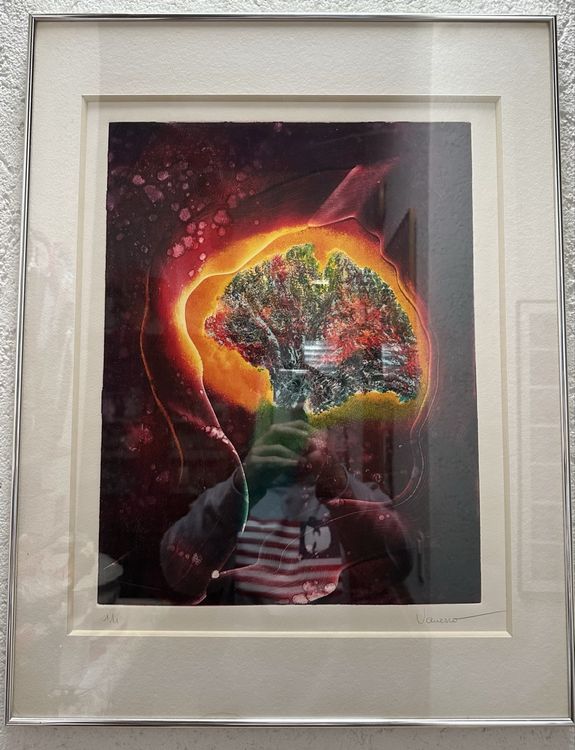 Clo VANESCO (1936) | Monotype Polychrome (D'occasion) à Estavayer-le ...