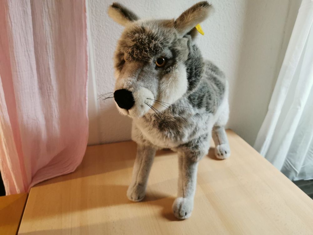 Grosser Steiff Wolf stehend Rarität! (Gebraucht) in für CHF 104 – mit ...