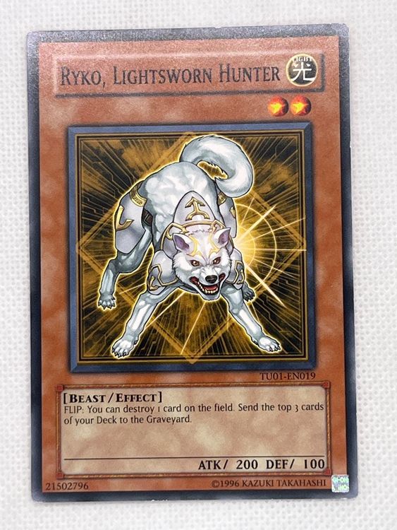 Ryko, Lightsworn Hunter (Gebraucht) in Hinterkappelen für CHF 2.95 ...