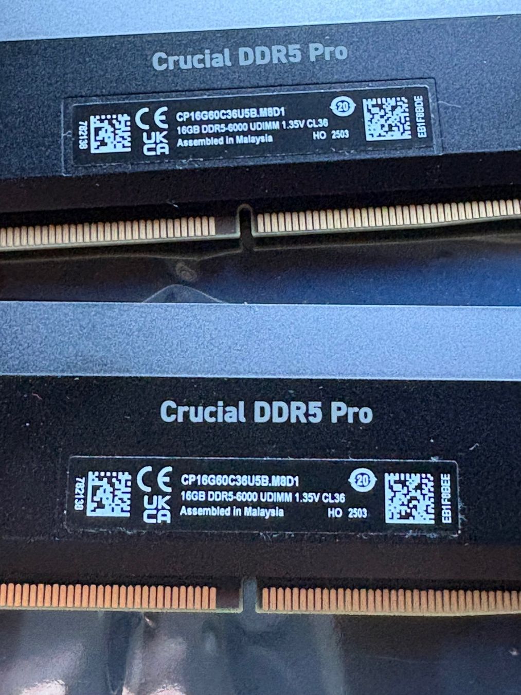 Crucial Pro DDR5 RAM 32GB Kit (2x16GB) 6000MHz CL36 (Gebraucht) in ...