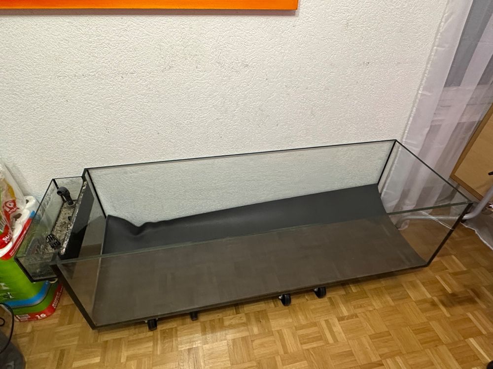 (KOPIE) Meerwasser Aquarium 180cm Pool (Gebraucht) in Winterthur für CHF 85 – nur Abholung auf ...