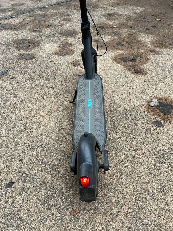 Segway Ninebot KickScooter (eScooter) MAX G30D in Zürich | Kaufen auf ...