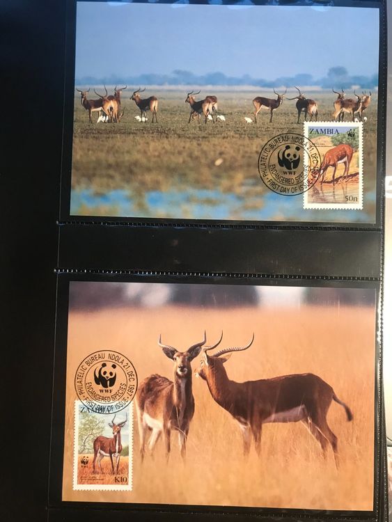 WWF Sambia 1987 Schwarze Litschi Antilope Satz Maximumkarten (Neu (gemäss Beschreibung)) in ...