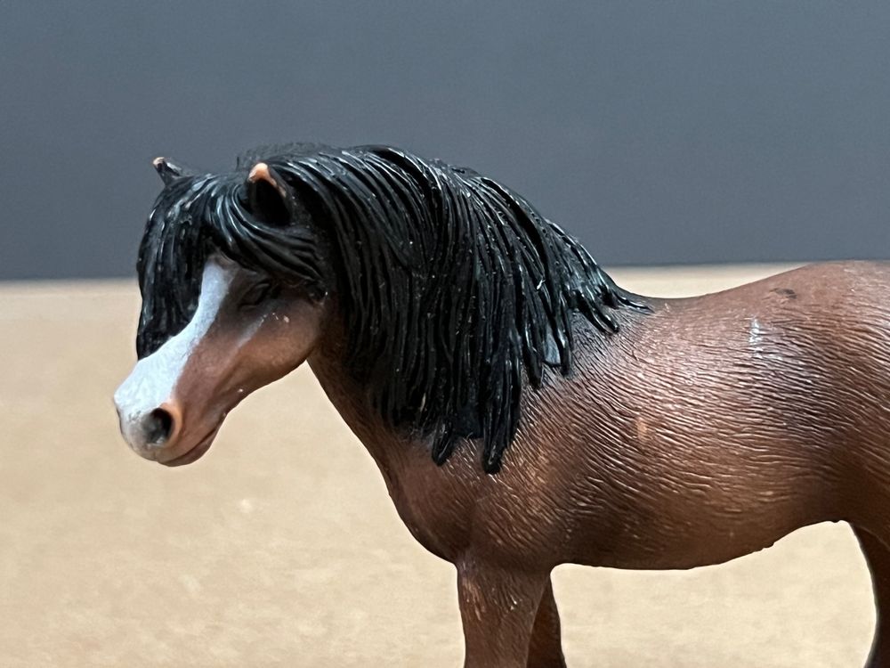 Schleich 13651 Dartmoor Pony Stute Pferd (Gebraucht) in Ennetbaden für CHF 12 – mit Lieferung ...
