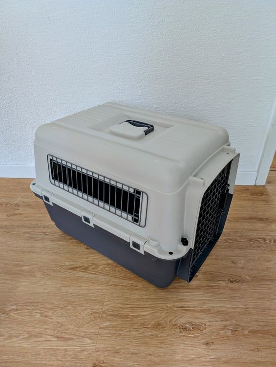 Hundetransportbox (Gebraucht) in Bülach für CHF 25 – nur Abholung auf Ricardo kaufen