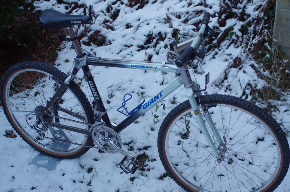 Giant Cadex CFM1 Carbon kult Mountainbike full Shimano XTR | Kaufen auf ...