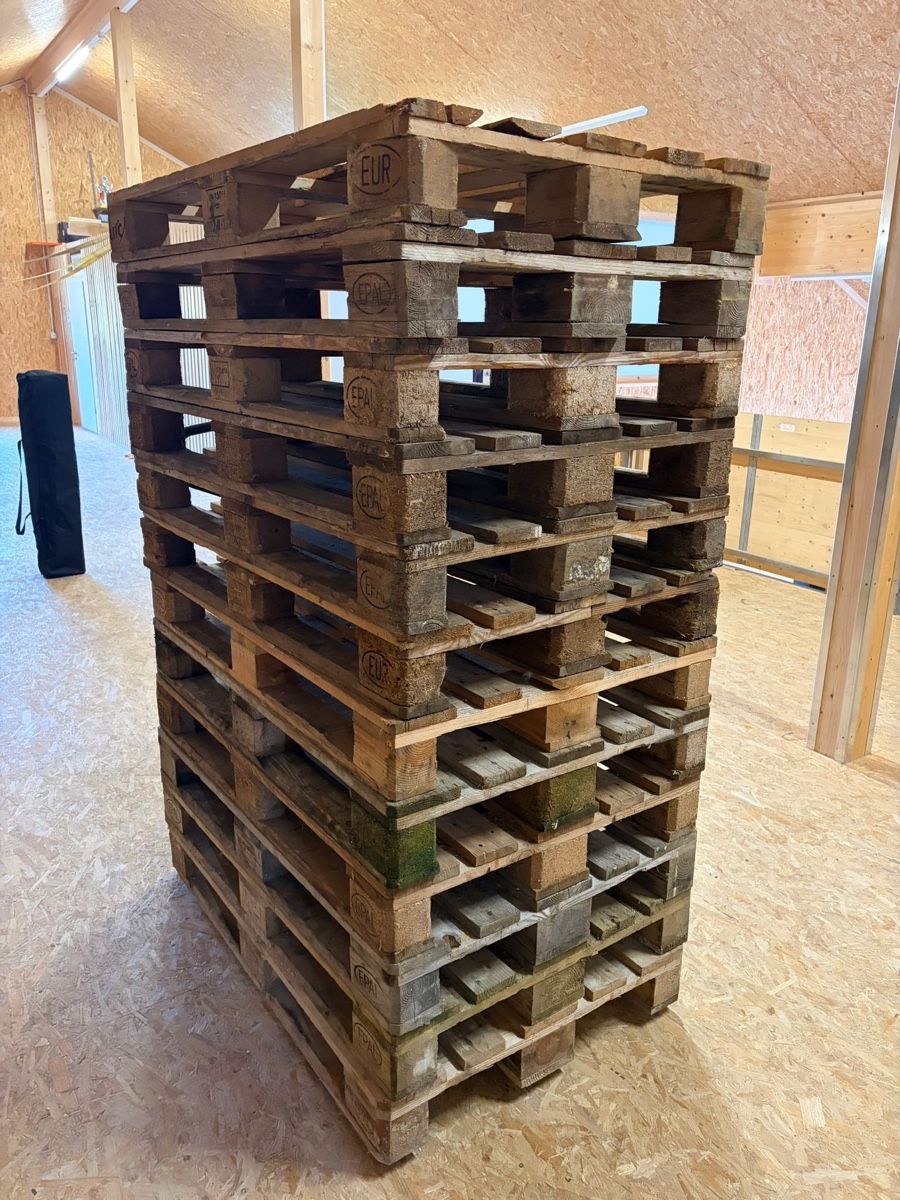 Paletten 12 Stk. (Gebraucht) in Rotkreuz für CHF 2 – nur Abholung auf ...