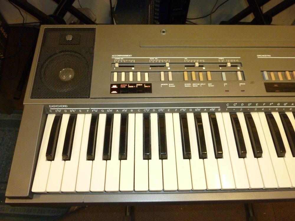 Farfisa Keyboard SG-61 (Gebraucht) in Wenslingen für CHF 1 – mit ...