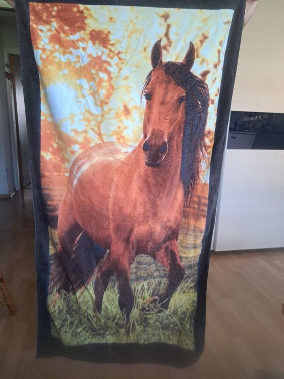 Strandtuch / Badetuch (Gebraucht) in Bellach für CHF 2 – mit Lieferung auf Ricardo kaufen