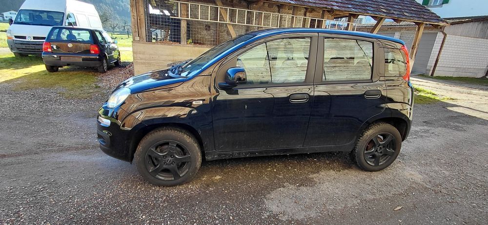 Fiat Panda TwinAir CNG , Unfall , 224'192 Km (Defekt) in Niederösch für ...