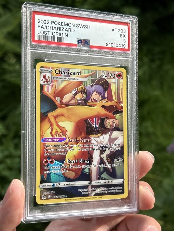 Charizard 🔥Character Rare PSA 5 (Neu (gemäss Beschreibung)) in Root für ...